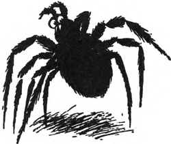 Spider Jim, by Annie M.G. Schmidt (De Spin Sebastiaan) – Daniel Hoek